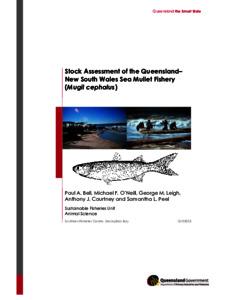 Stock assessment of the Queensland-New South Wales sea mullet fishery ...